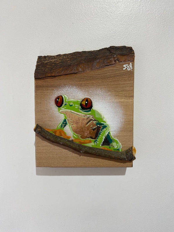 Animal Art spray painted pictures on wood by Syd a Shed of the year ...